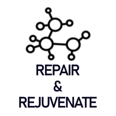 RESTORE WATER - Hydrogen-rich alkaline proton water for health ...